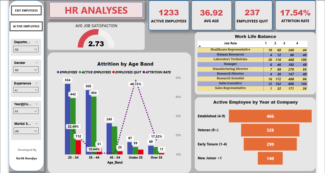 Kartik The Analyst Portfolio